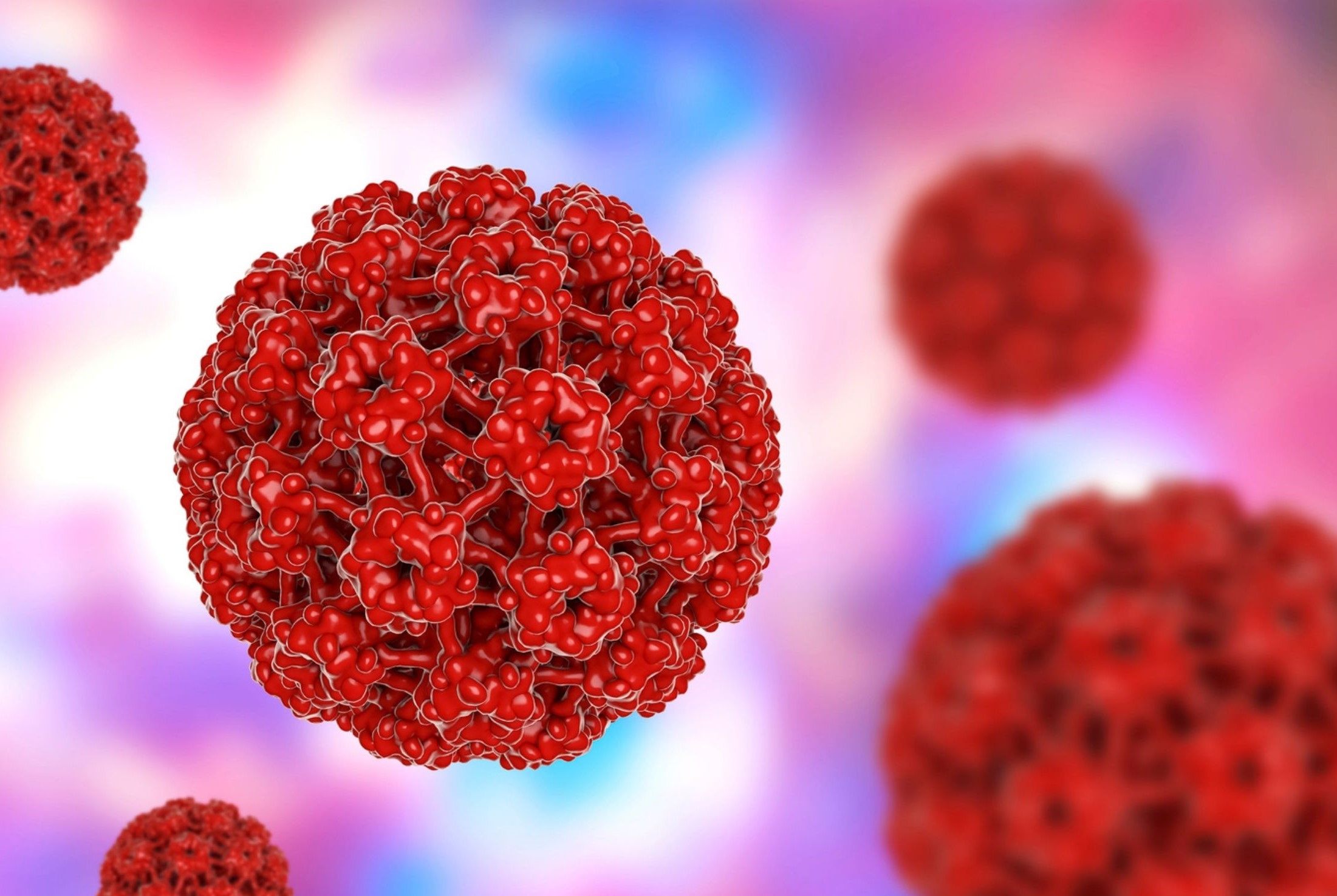 ¿Produce cáncer el virus del papiloma humano? - Lorgen