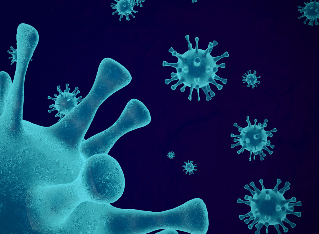 ¿CÓMO FUNCIONAN LOS TEST RÁPIDOS DE ETS? - Lorgen