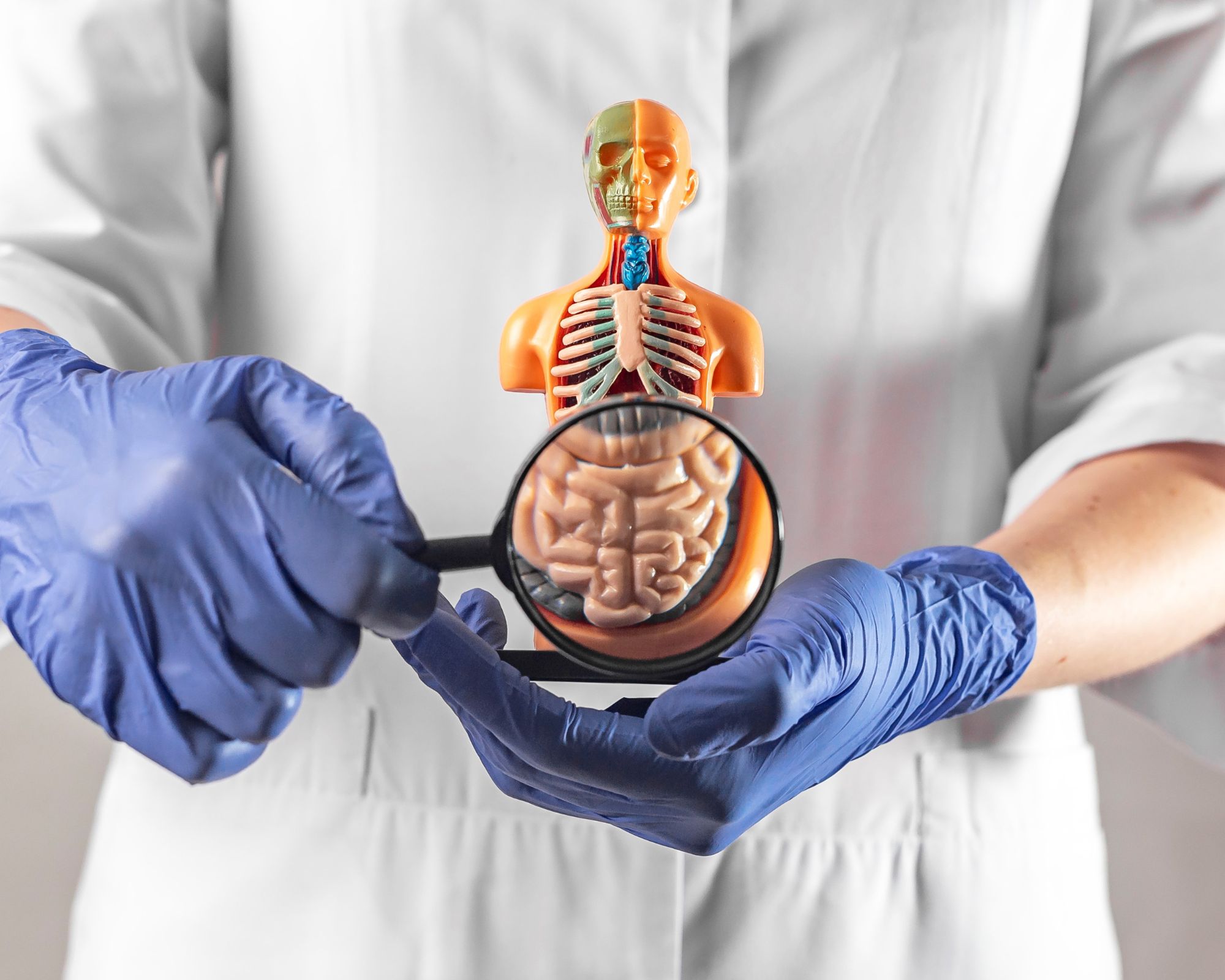 TRASPLANTE DE HECES: UN TRATAMIENTO PROMETEDOR - Lorgen