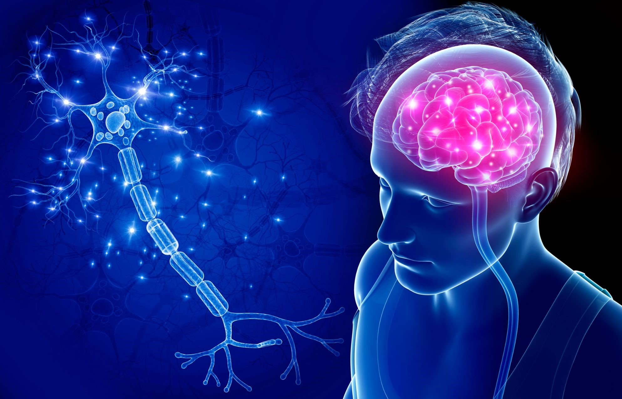 LOS TRASTORNOS DEL NEURODESARROLLO - Lorgen