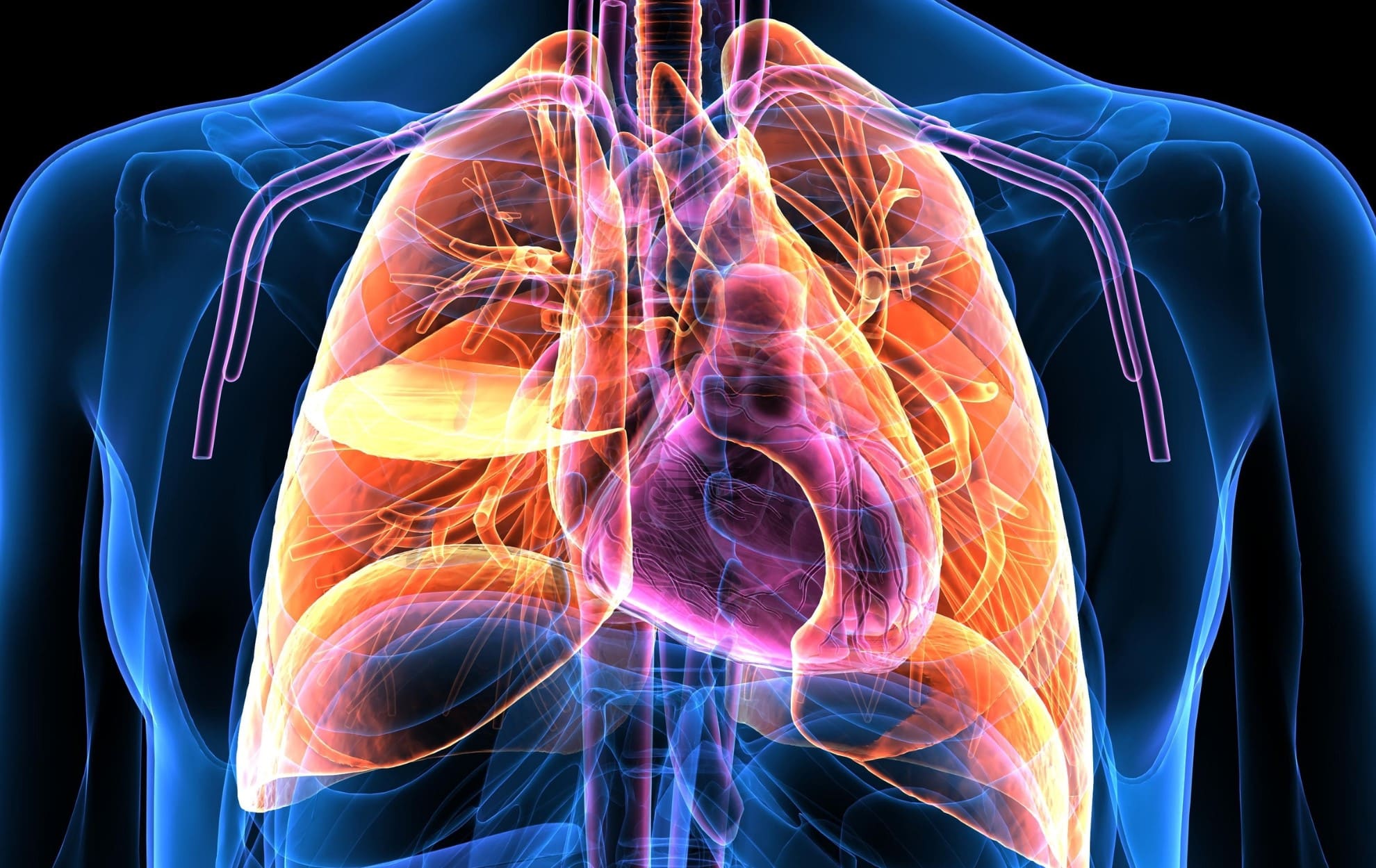 Sintomas De Enfermedades Del Pulmon Sociedad Dominicana Neumología