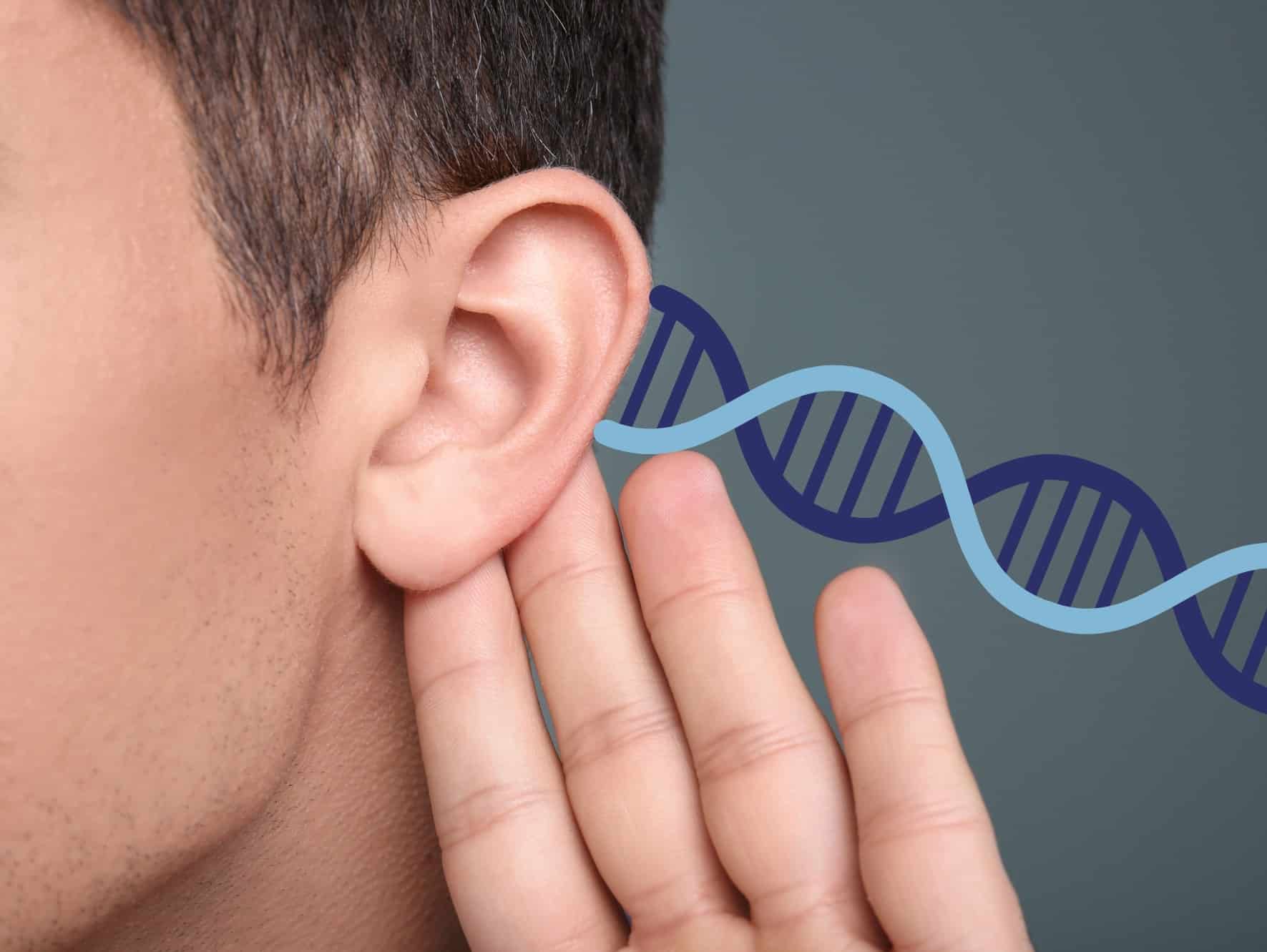 PÉRDIDA DE AUDICIÓN GENÉTICA - Lorgen