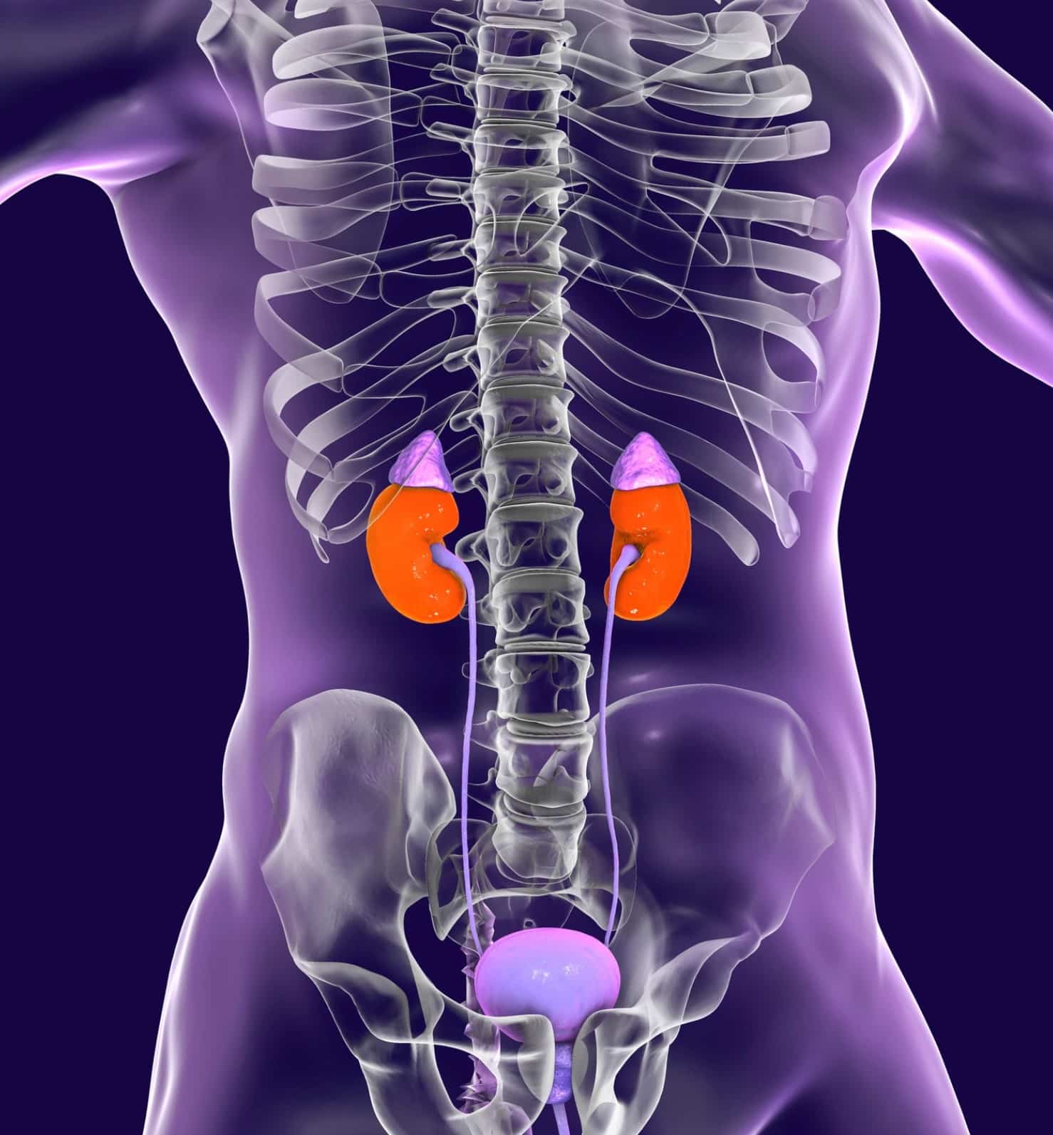 Tipos de Neoplasia Endocrina Múltiple - Lorgen