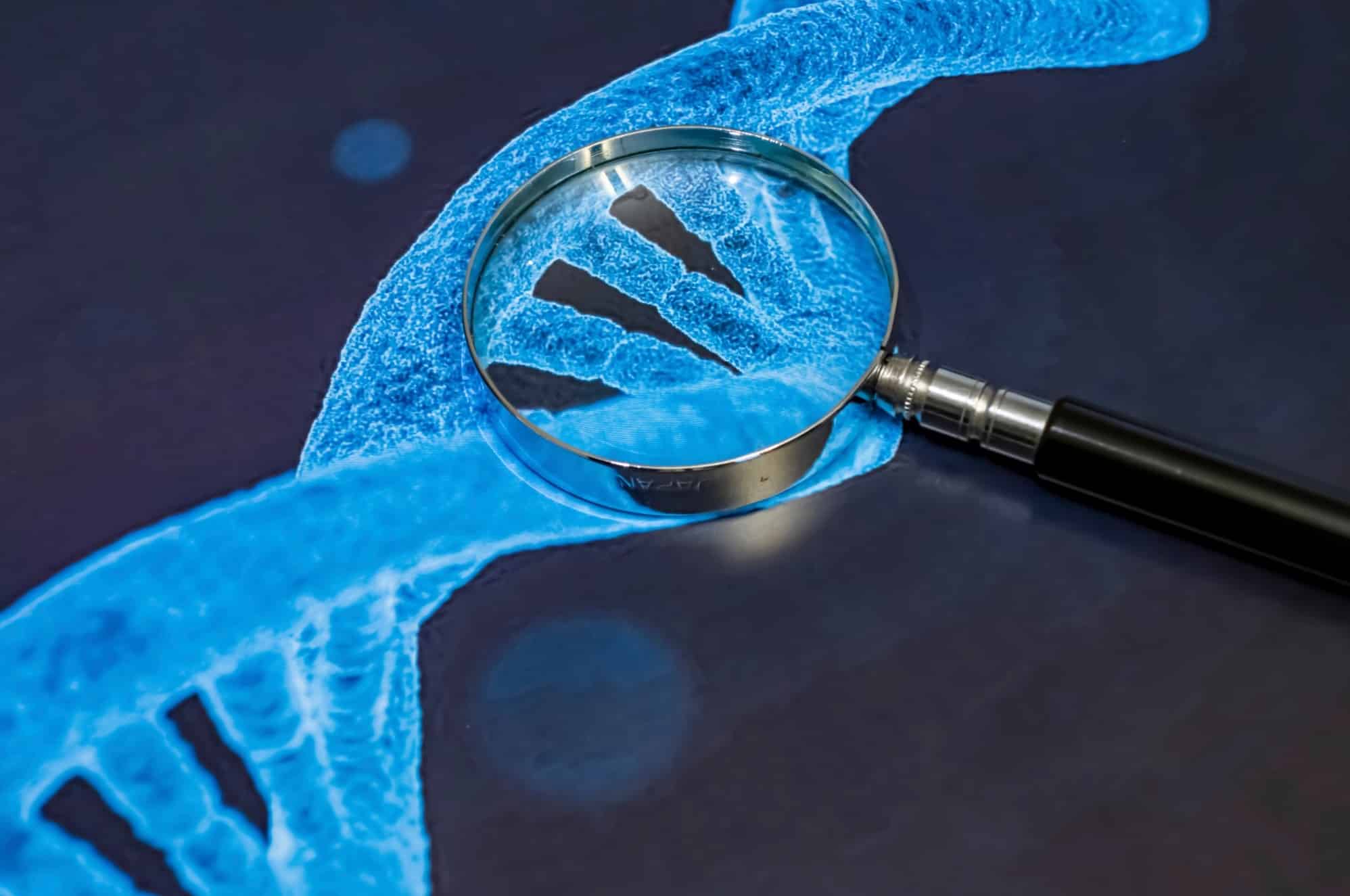 NUEVOS GENES ASOCIADOS A ENFERMEDADES RARAS - Lorgen