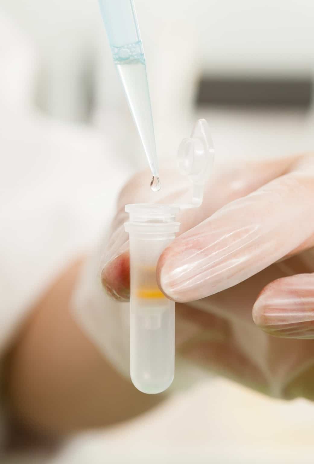 ¿QUÉ ES EL METAGENOMA? - Lorgen